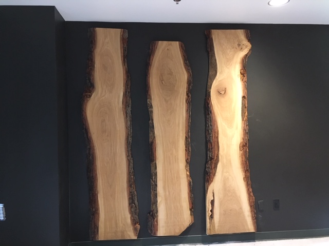 Wood Slab Sculptures Installed | UUCM Happenings